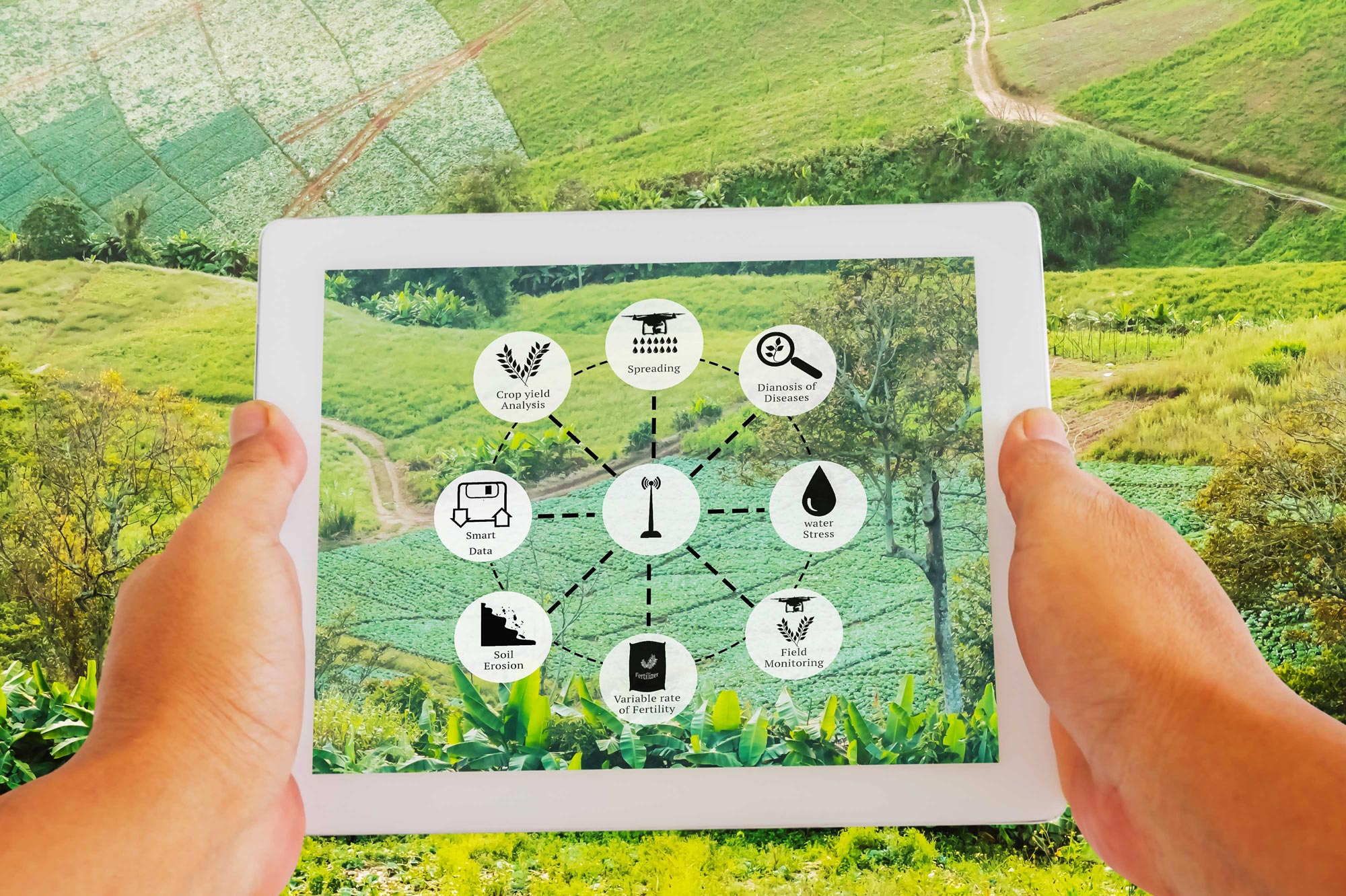 Como começar a usar agricultura digital no agronegócio? - Summit Agro