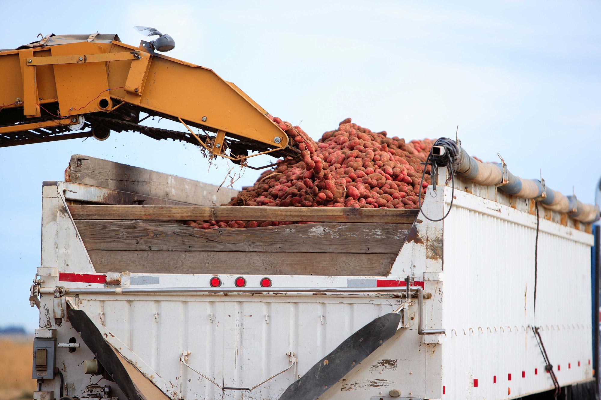Logística inteligente favorece sustentabilidade no agronegócio - Summit ...
