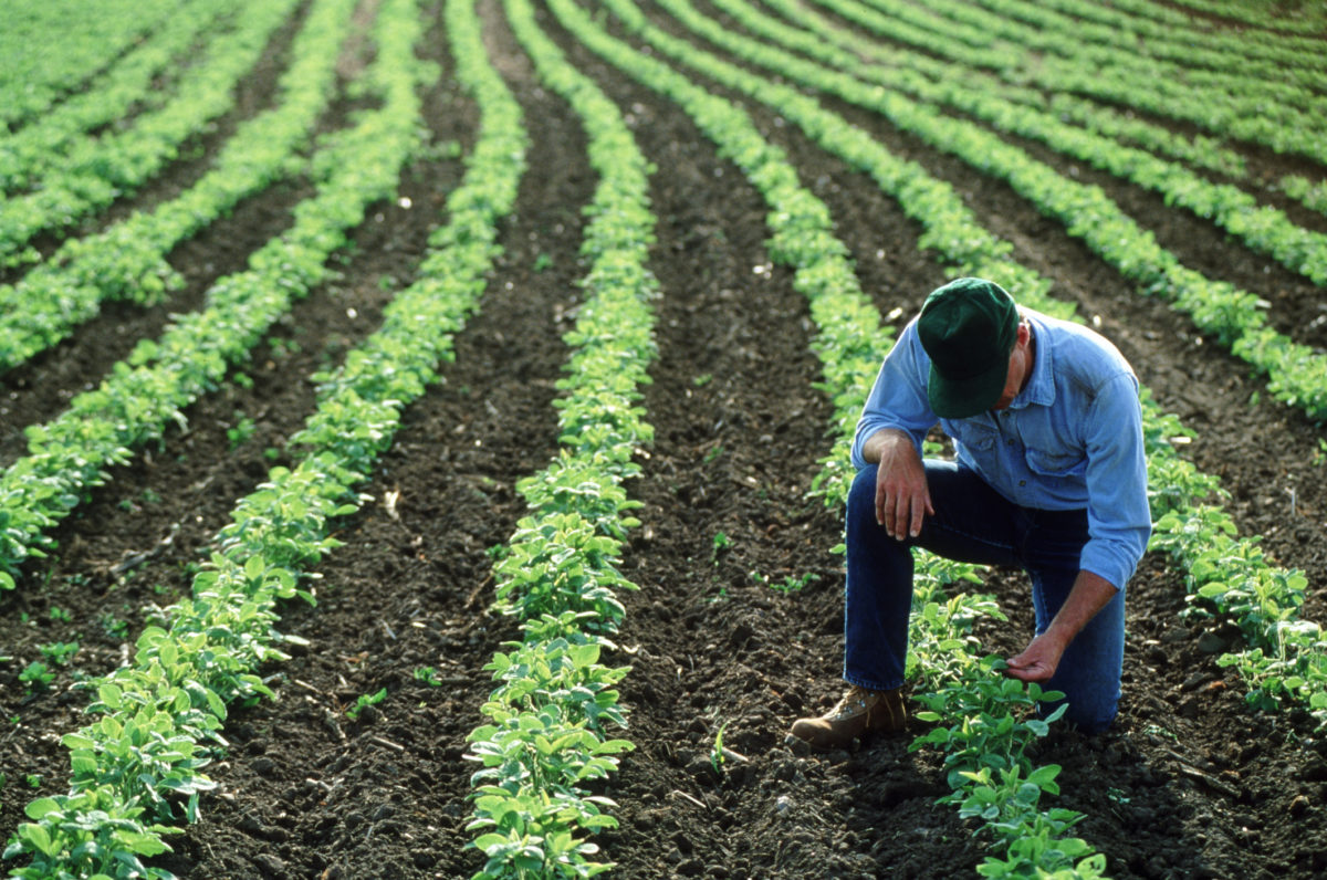 É preciso valorizar as virtudes do agro nacional - Summit Agro