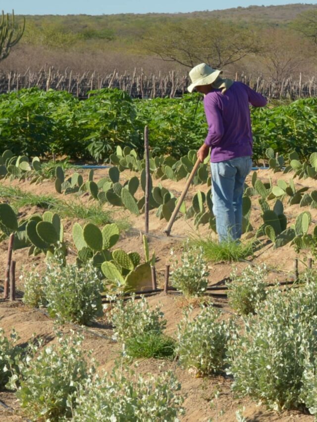 O que é a reforma agrária? - Canal Agro Estadão