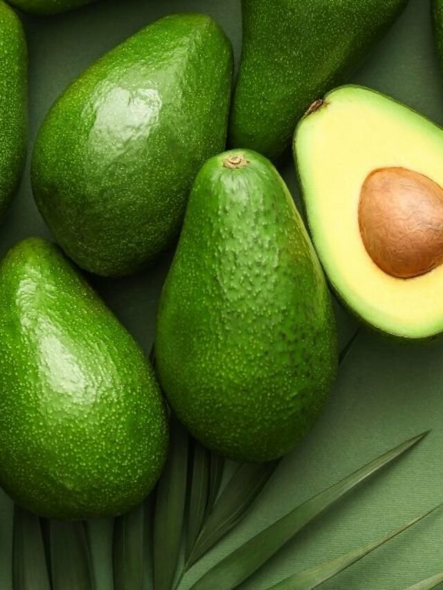 4 usos do abacate para diferentes finalidades - Canal Agro Estadão